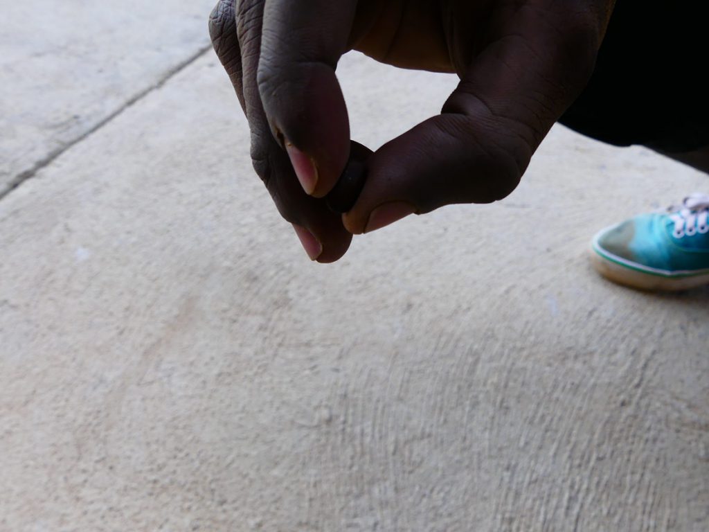 Lesotho – Preparation of planting fertilizer trees – Transjardins ...