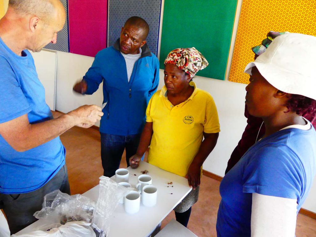 Lesotho – Preparation of planting fertilizer trees – Transjardins ...