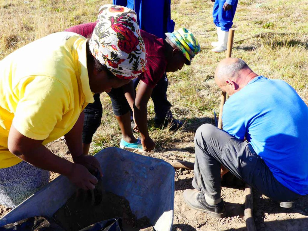 Plant nursery Preparation – Mamohato Children Center – Transjardins ...