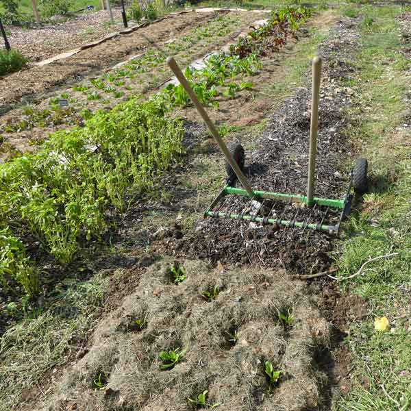 Alternative Agriculture – Transjardins