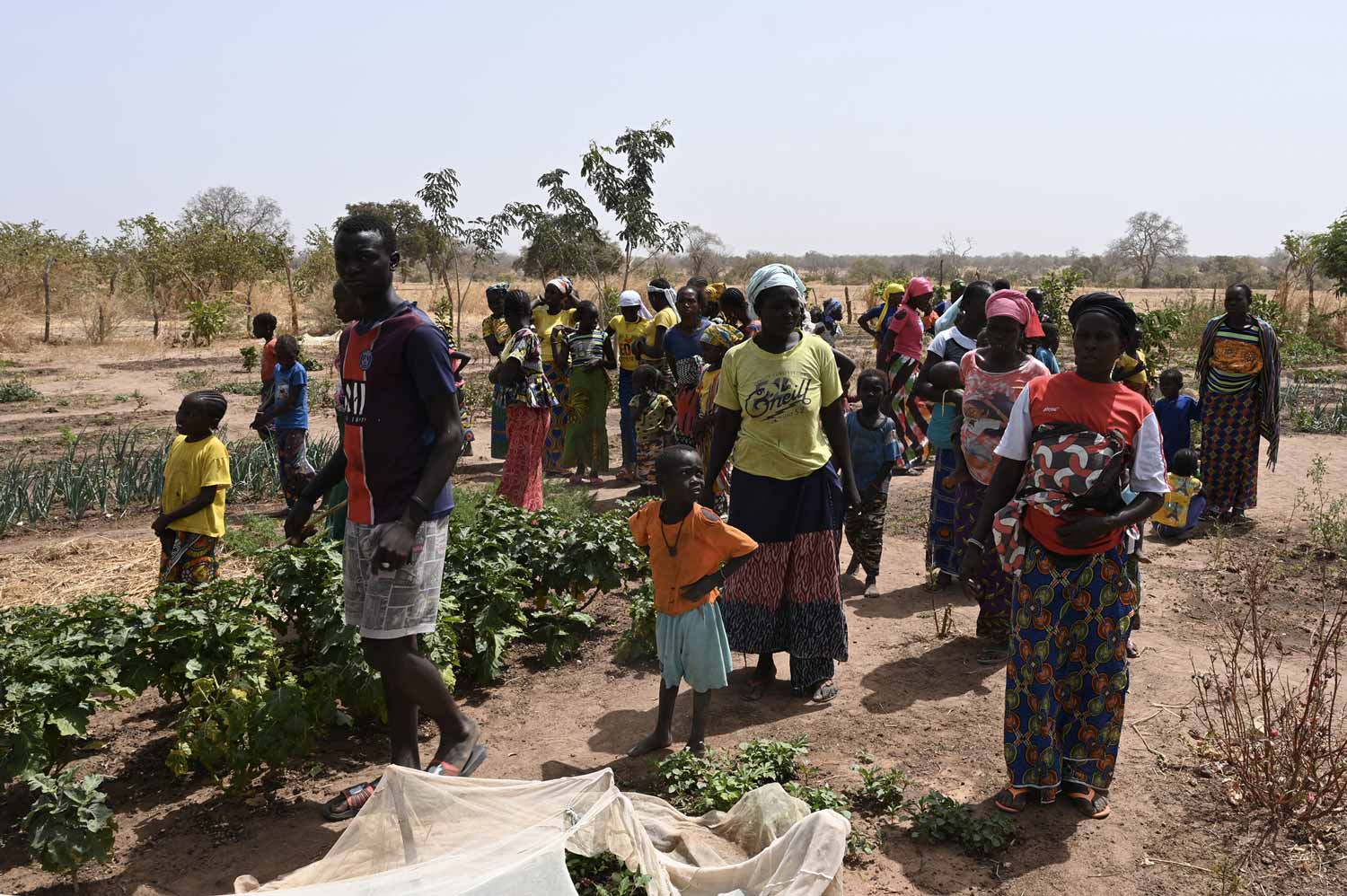 The Malem Wok wok garden in Dawady, Senegal – Transjardins – Transgardens