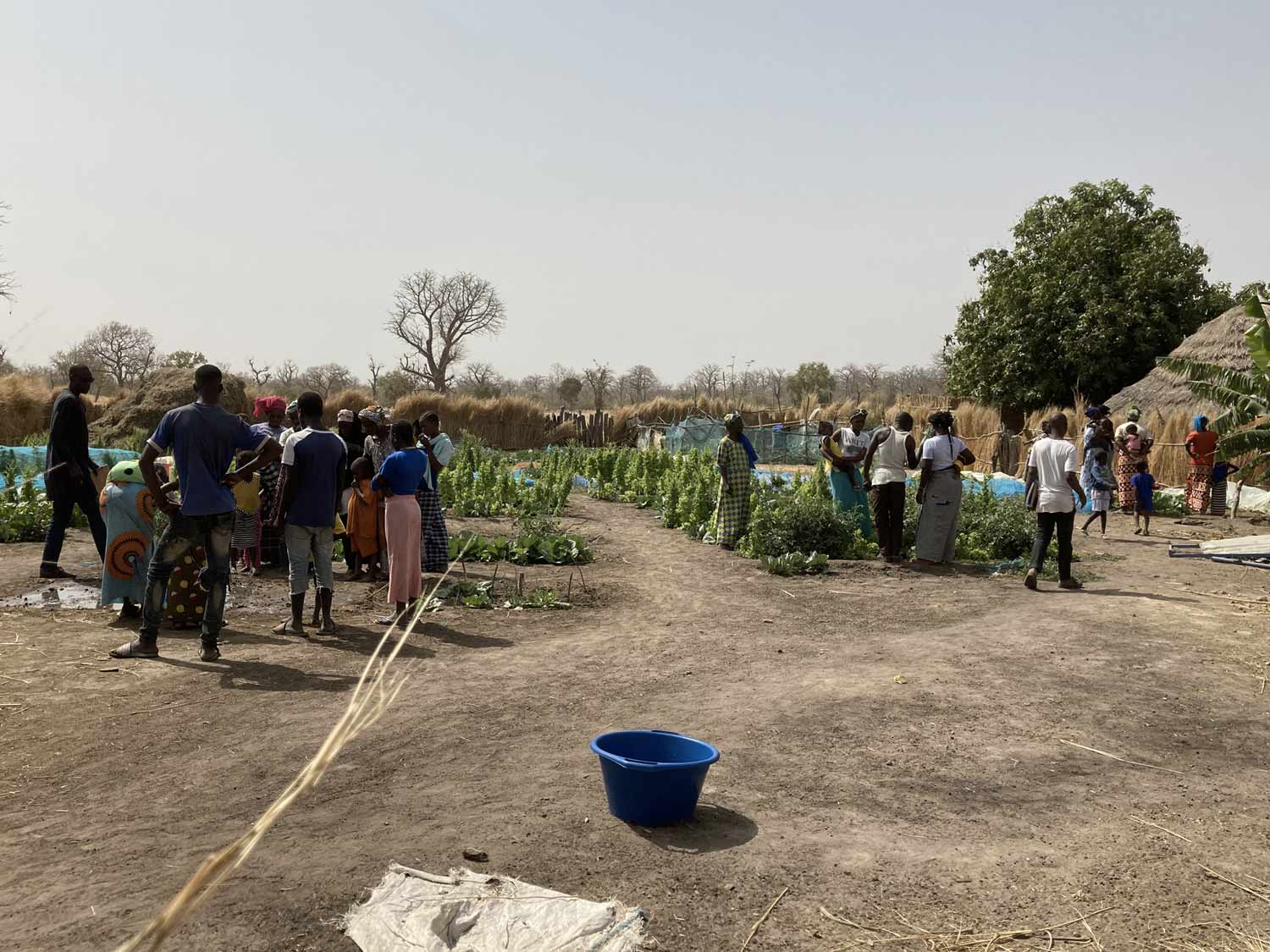 The village of Ndioum, Dawady, Senegal – Transjardins – Transgardens