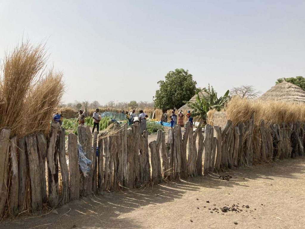 The village of Ndioum, Dawady, Senegal – Transjardins