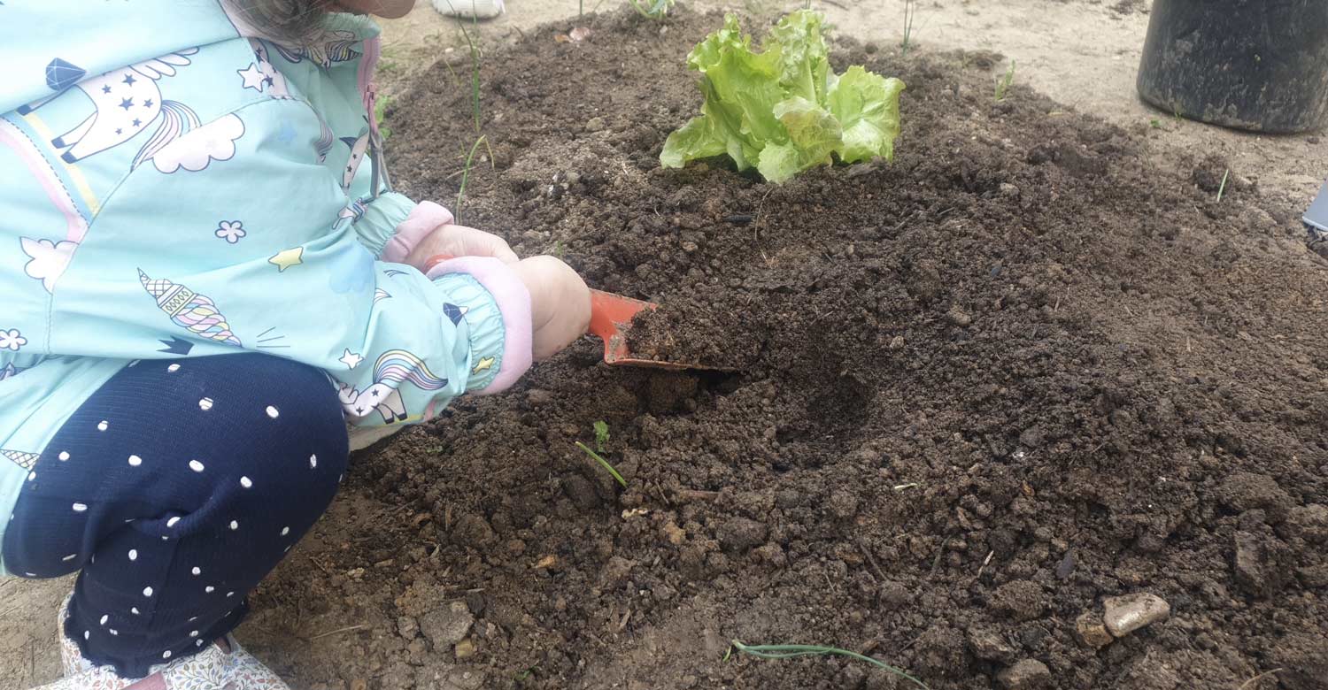 Onion and oca planting with the children of the nursery in the garden ...