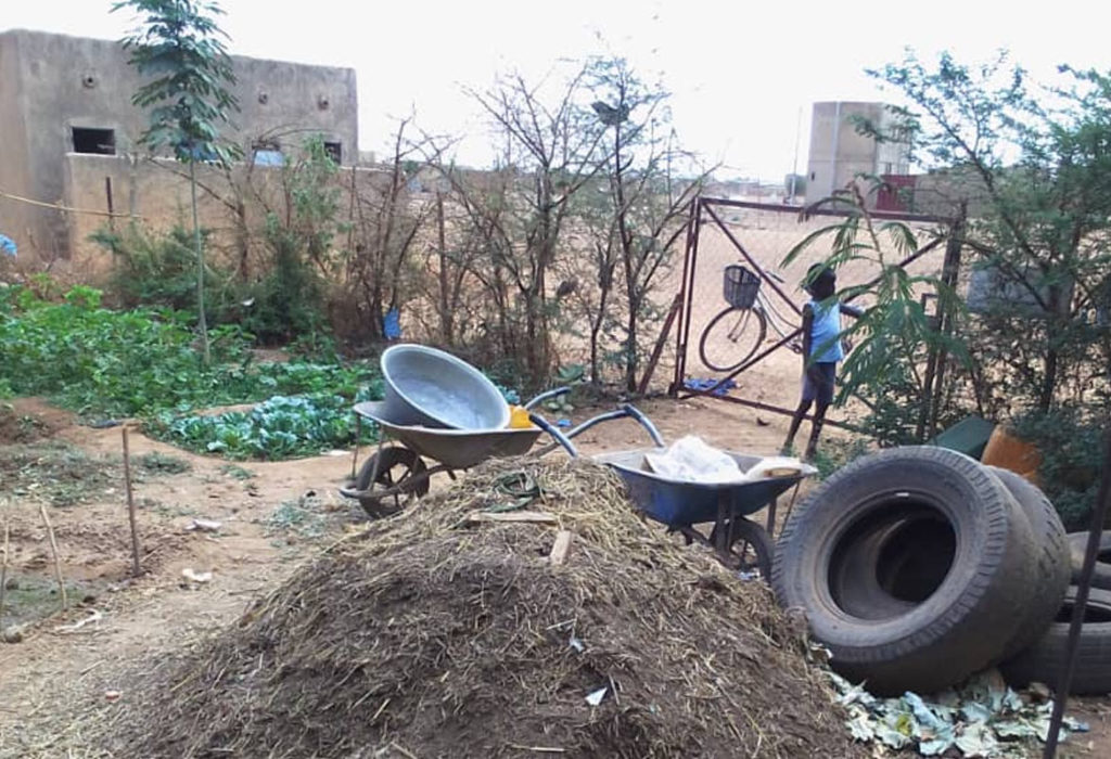 Sharing manure for women’s gardens in the Yagma neighbourhood, Burkina ...