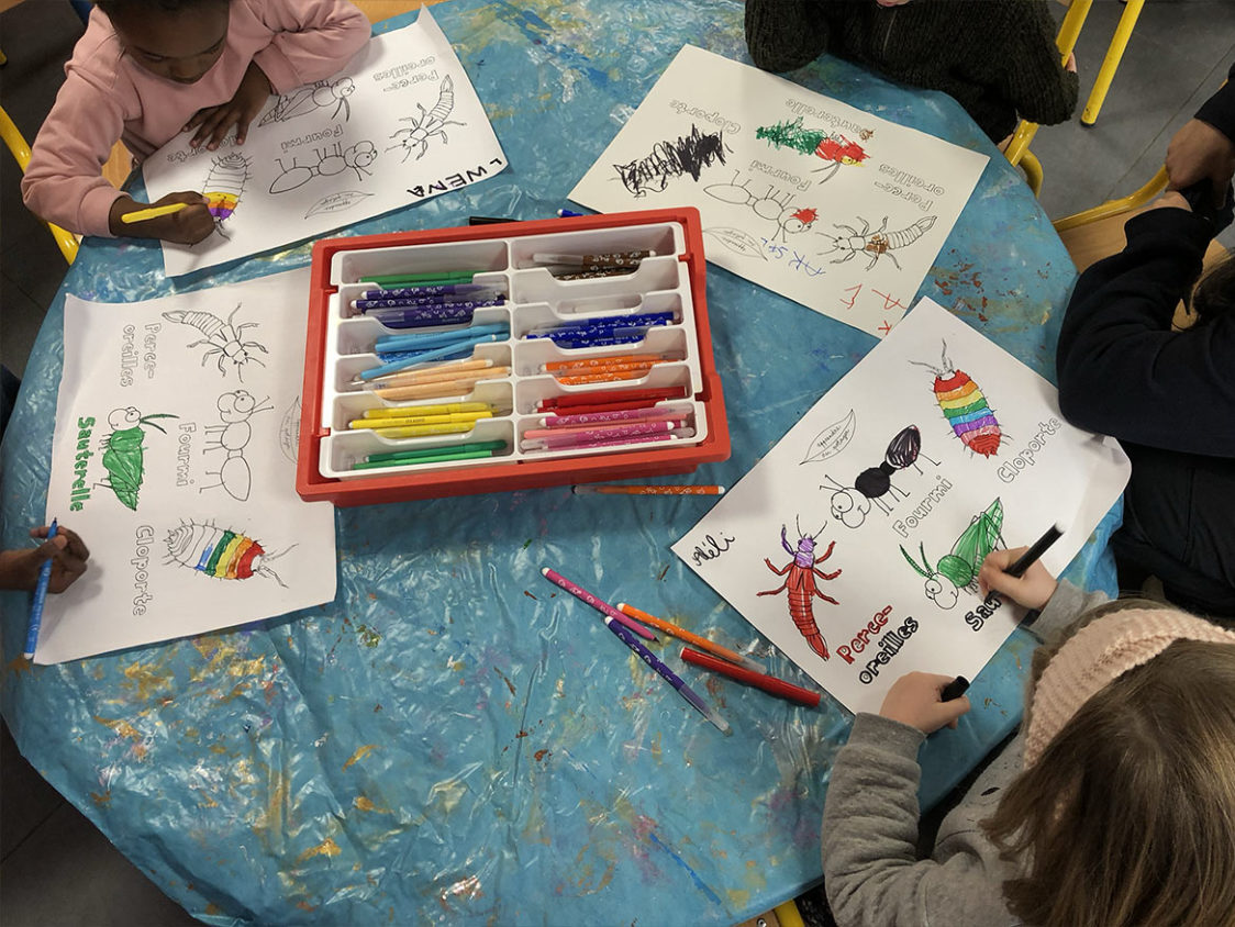 Découverte ludique des insectes avec les enfants de l’école maternelle ...