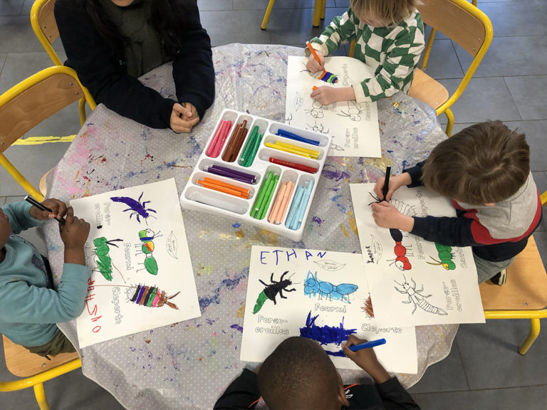Découverte ludique des insectes avec les enfants de l’école maternelle ...