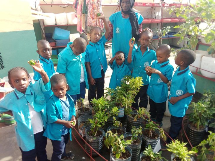 Growing at the Petits Princes school in Rufisque – Senegal – Transjardins