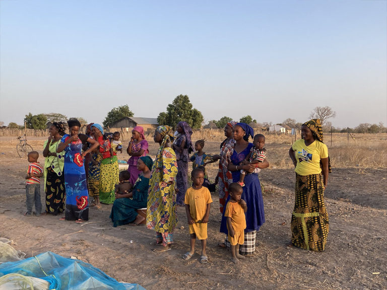 Exploitation de la parcelle du village de Ndioum2, Bala, Sénégal ...