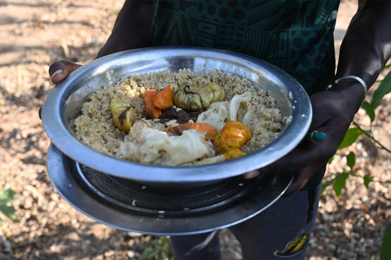 Repas et formation à Dawady, Sénégal – Transjardins – Transgardens