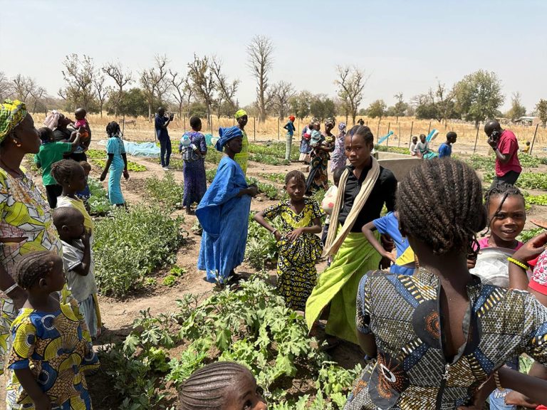 Visite du jardin de Ndioum – Transjardins – Transgardens