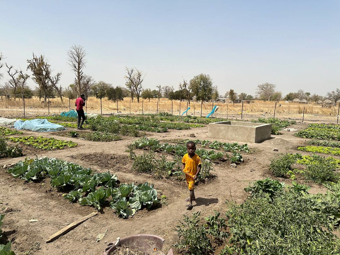 Visite du jardin de Ndioum – Transjardins – Transgardens